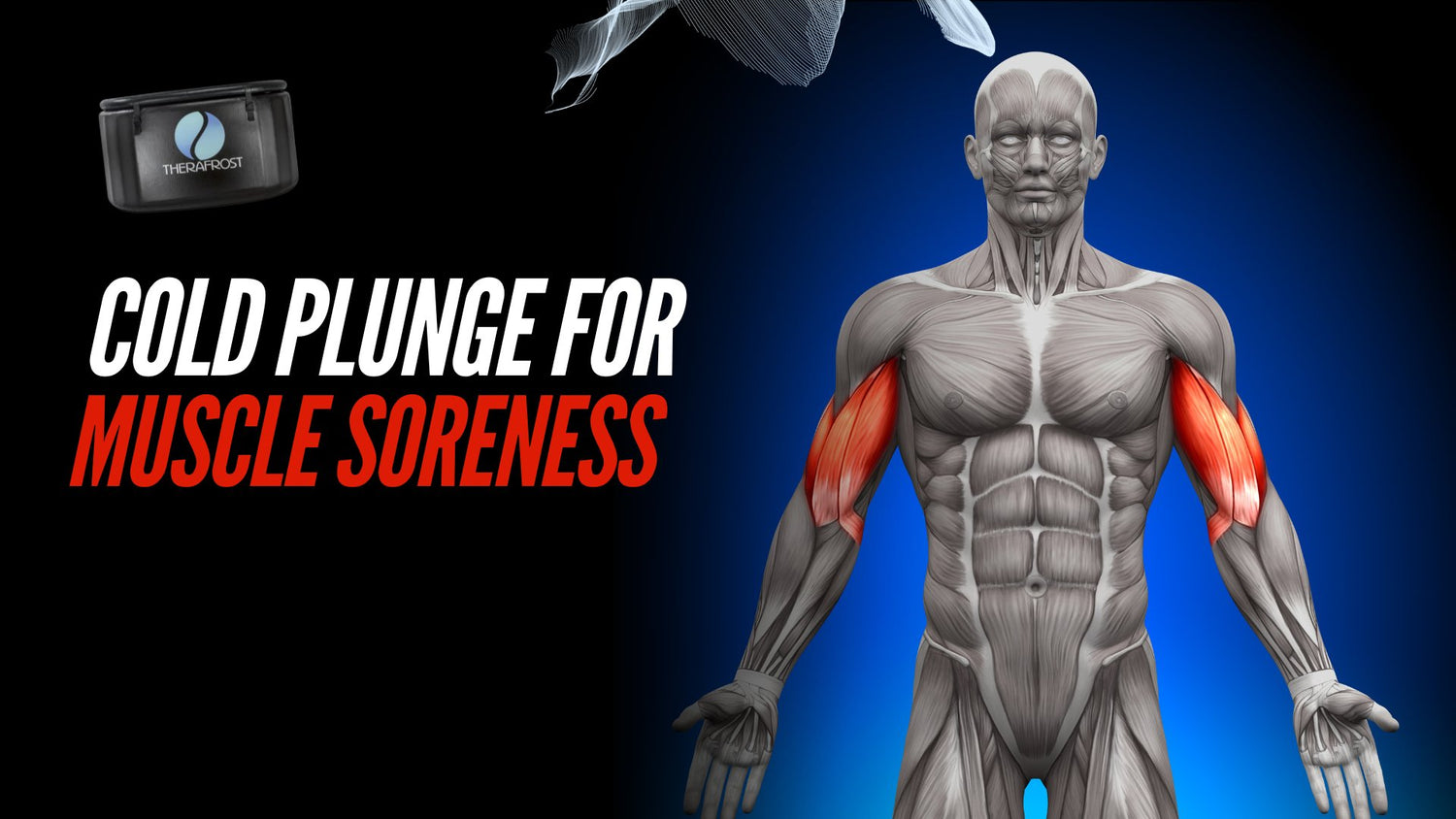 Does Cold Plunging Help with Muscle Soreness? – Therafrost
